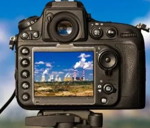 Nature photography day: An Introduction