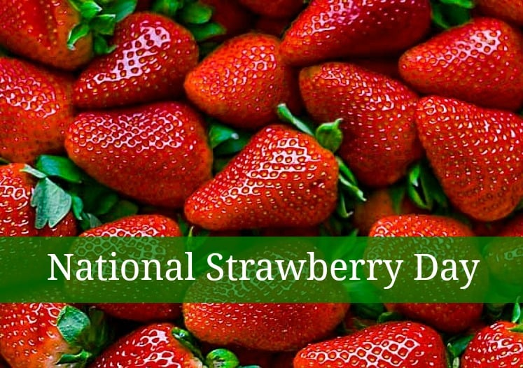 National Strawberry Day 🍓 | 27th Feb