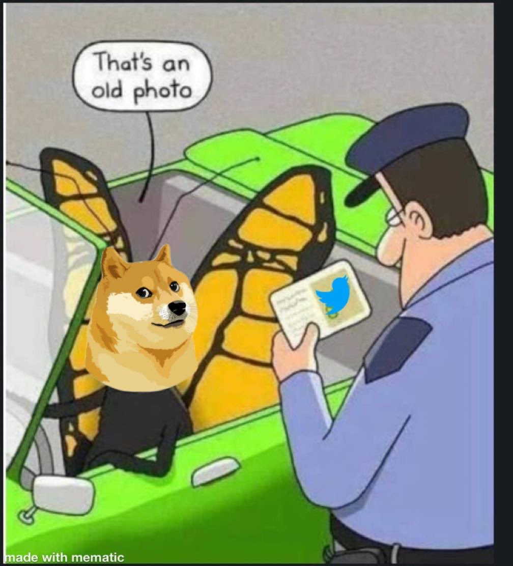 Twitter Goes to the Dogs: Doge Meme Replaces Blue Bird Logo
