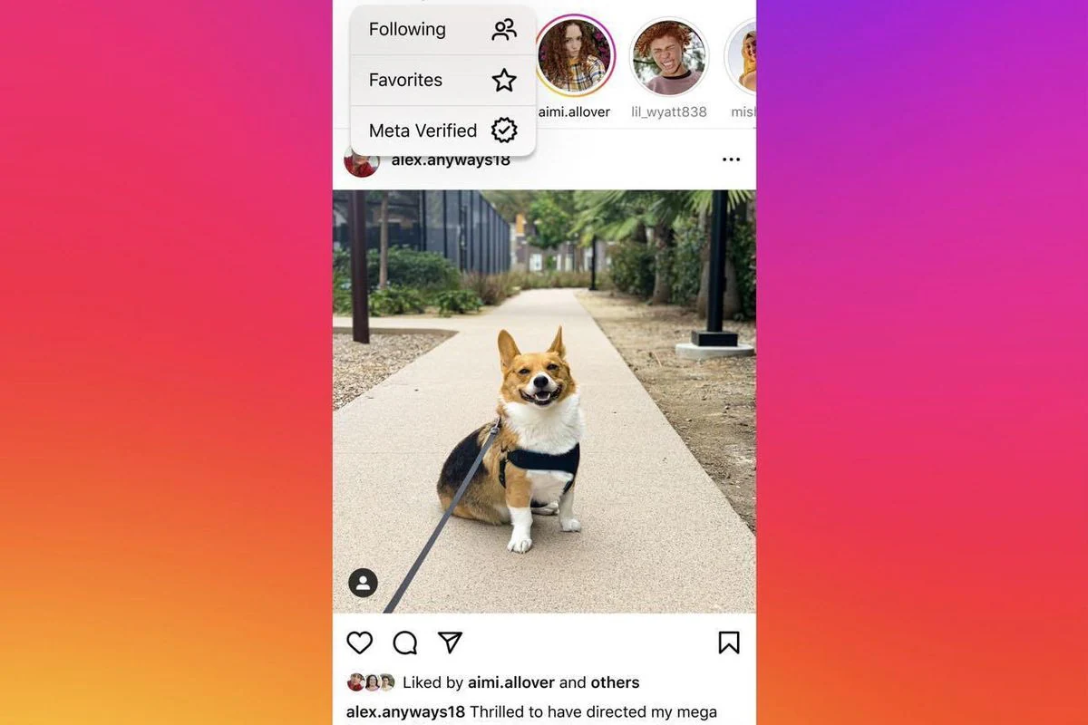 Instagram Testing Feed That Only Shows Posts From Verified People