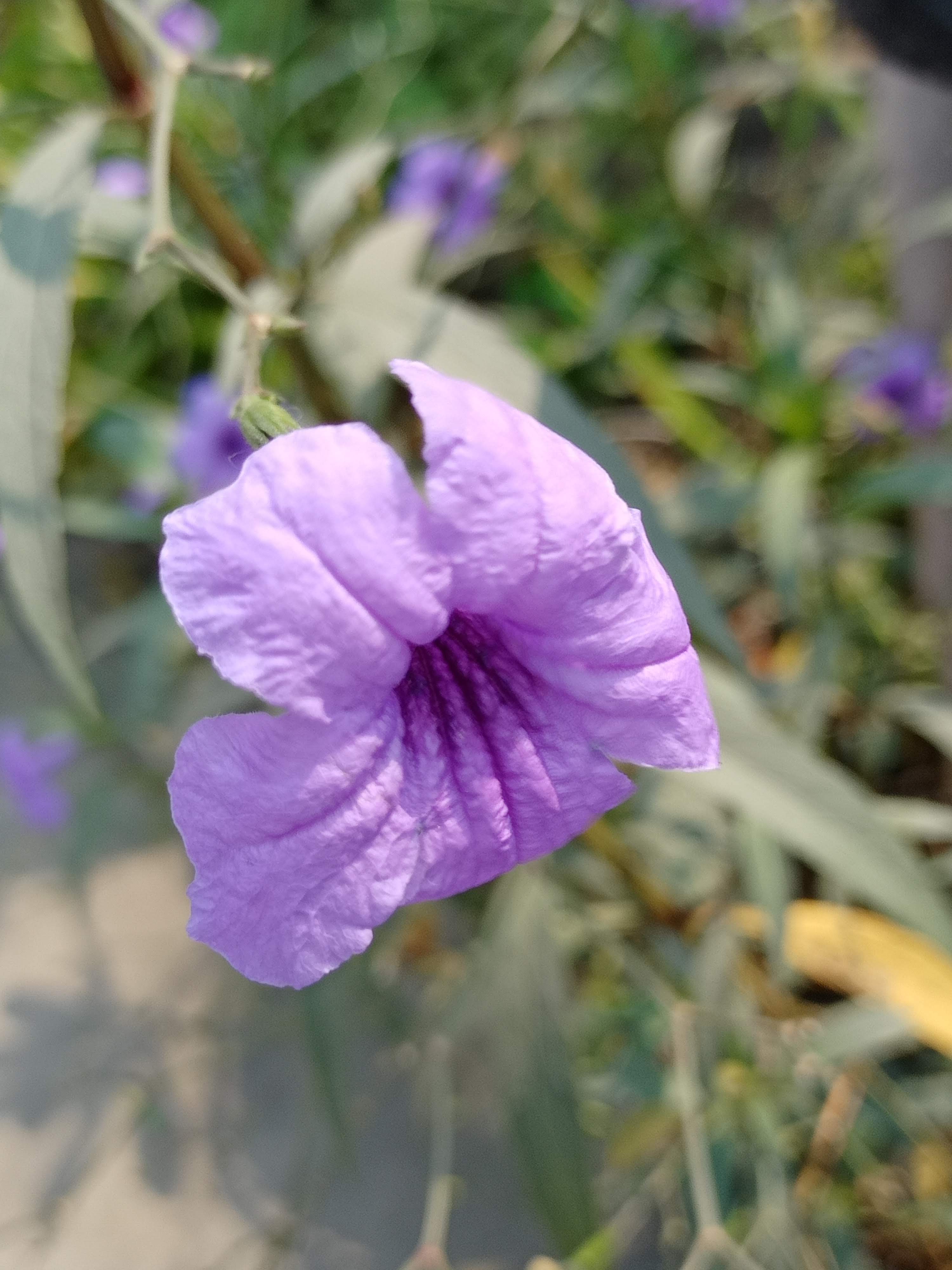 #ThursdayTrios | Contest 1 | Floral Fantasy