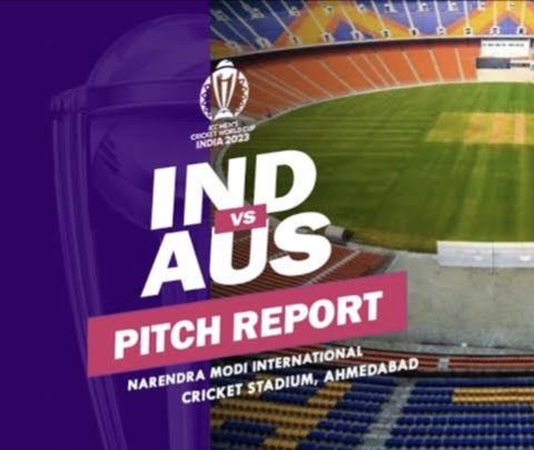 Cricket World Cup Finals Pitch Report by Jstreets