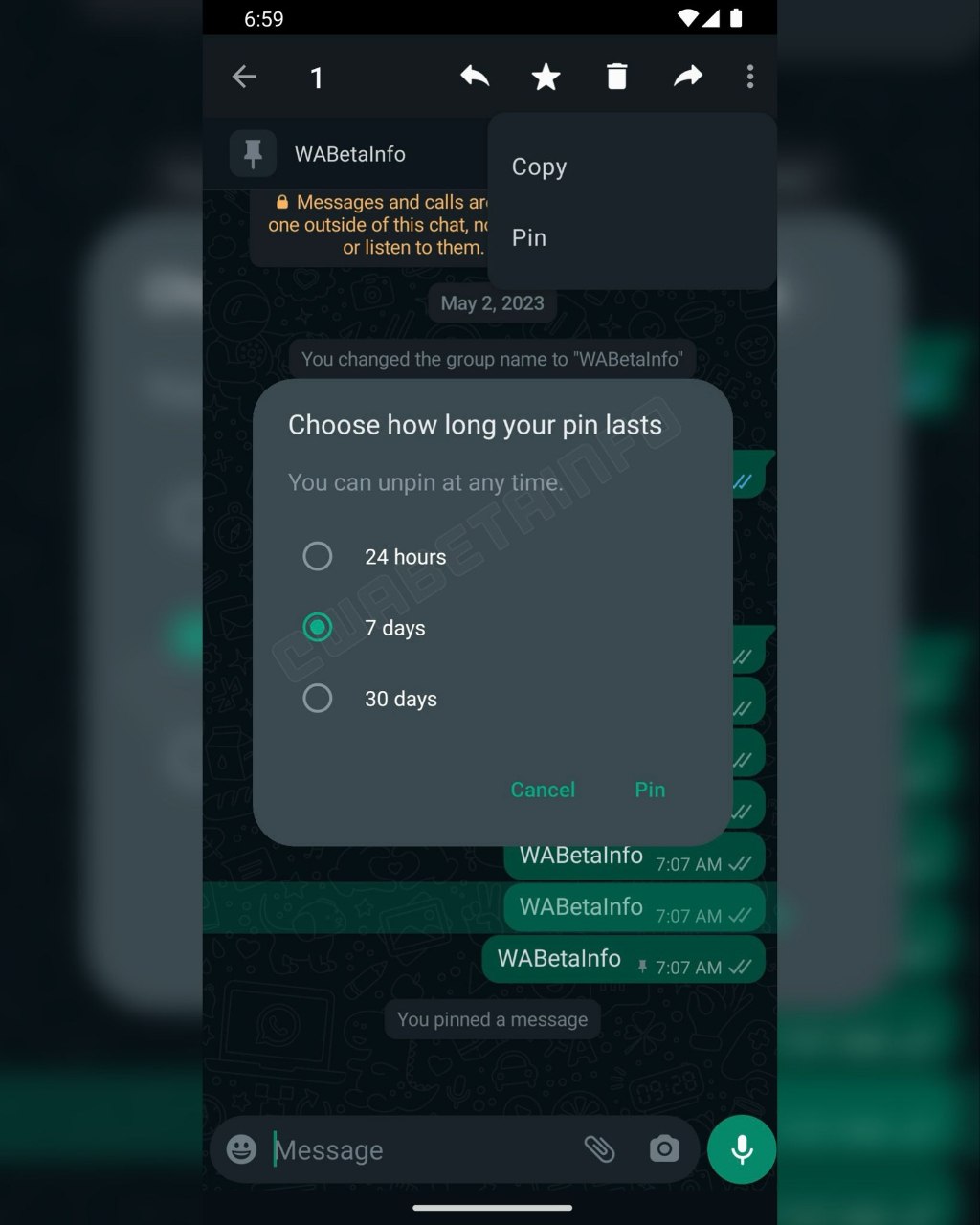 WhatsApp Pinned msg