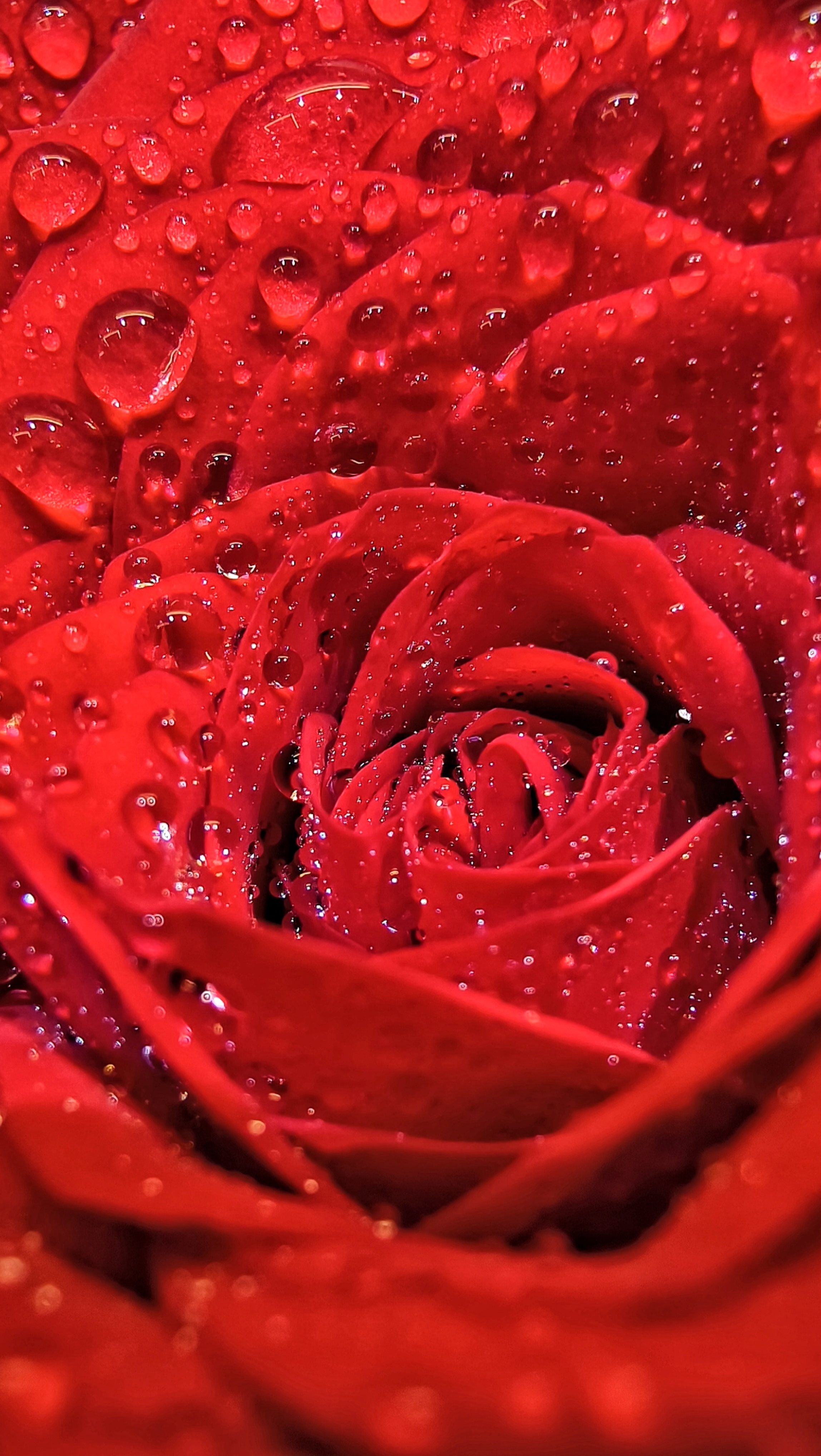 Photographs • Editing • Videos | Social Series 05