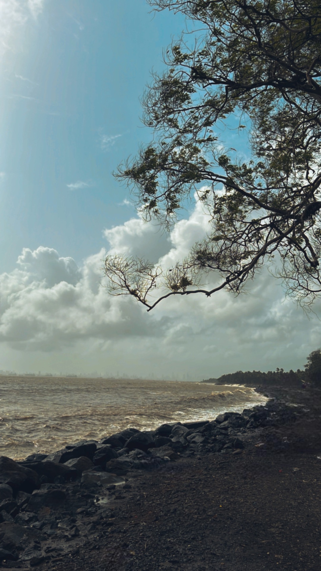 A turbulent dance of waves and wind.🌊
