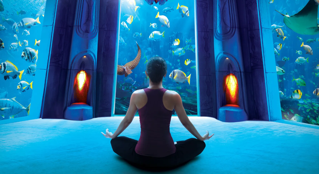 Dive into Zen: Underwater Yoga Takes Fitness to New Depths!