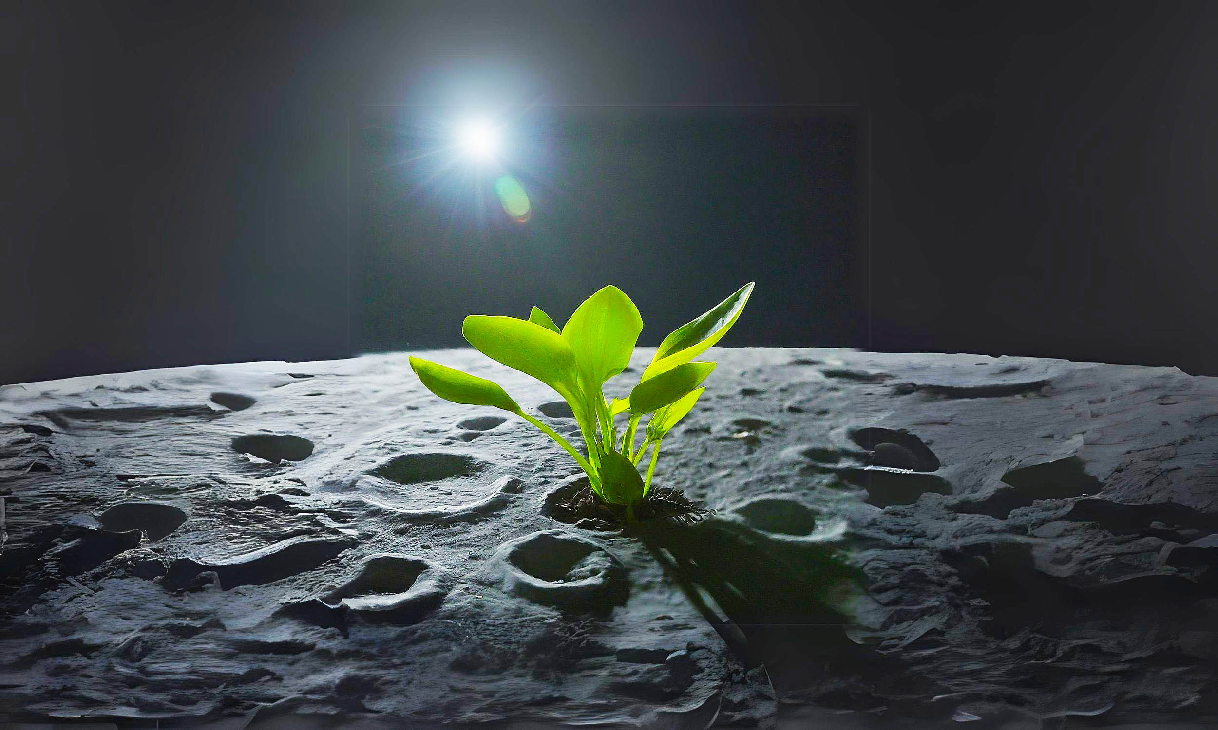 #FarmingOnMoon "Can we grow plants on Moon...?