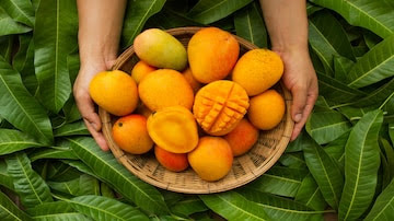 10 most-famous mango varieties in India: Check the sweetest picks of ...