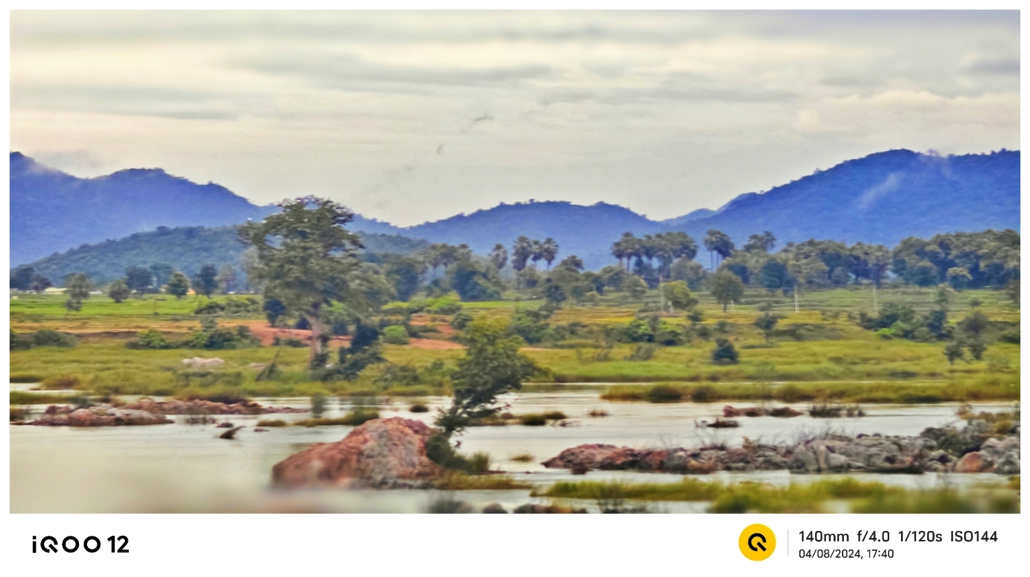 IQOO12 Photography Nature #2