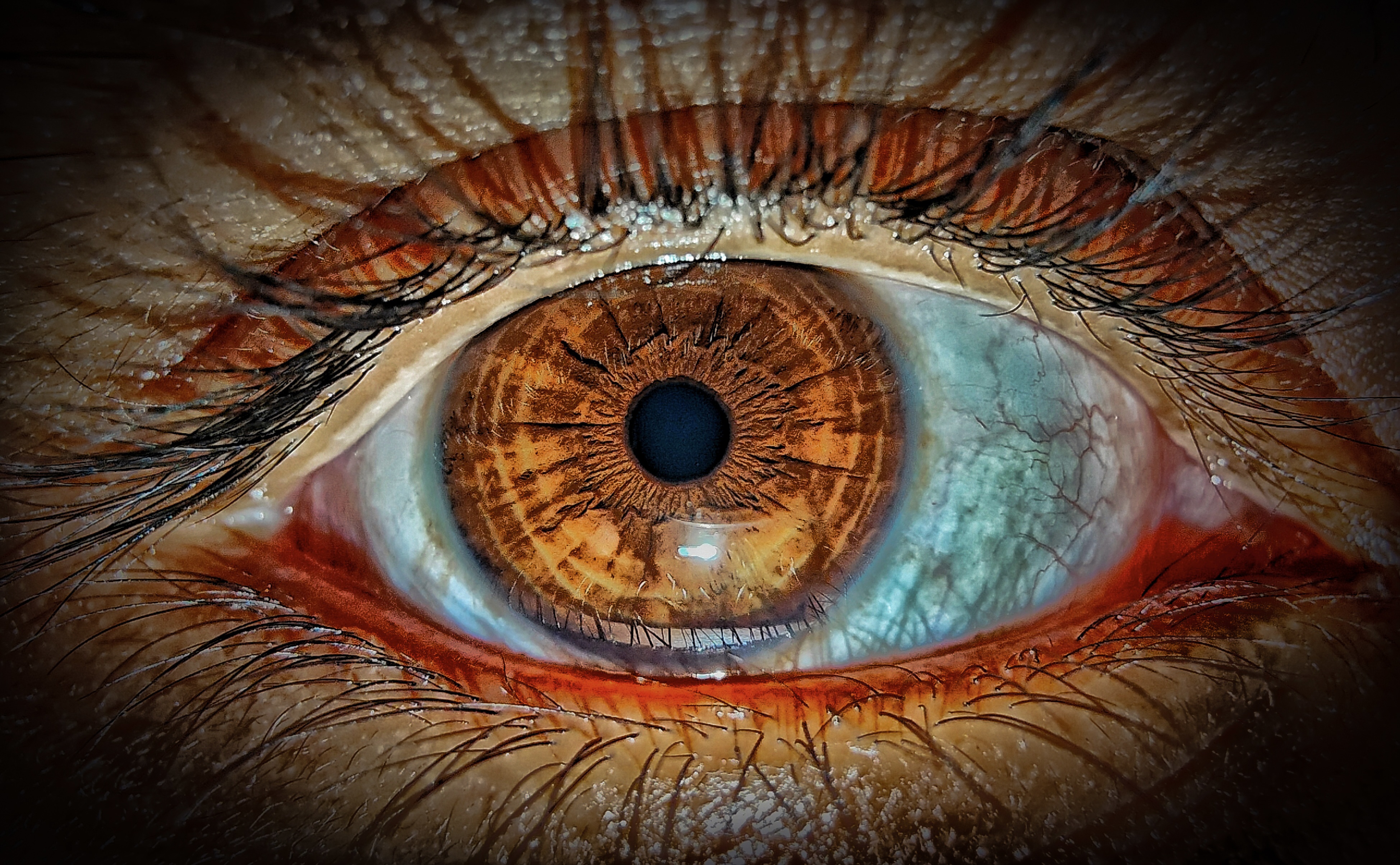 "Windows to the soul, capturing the universe within."