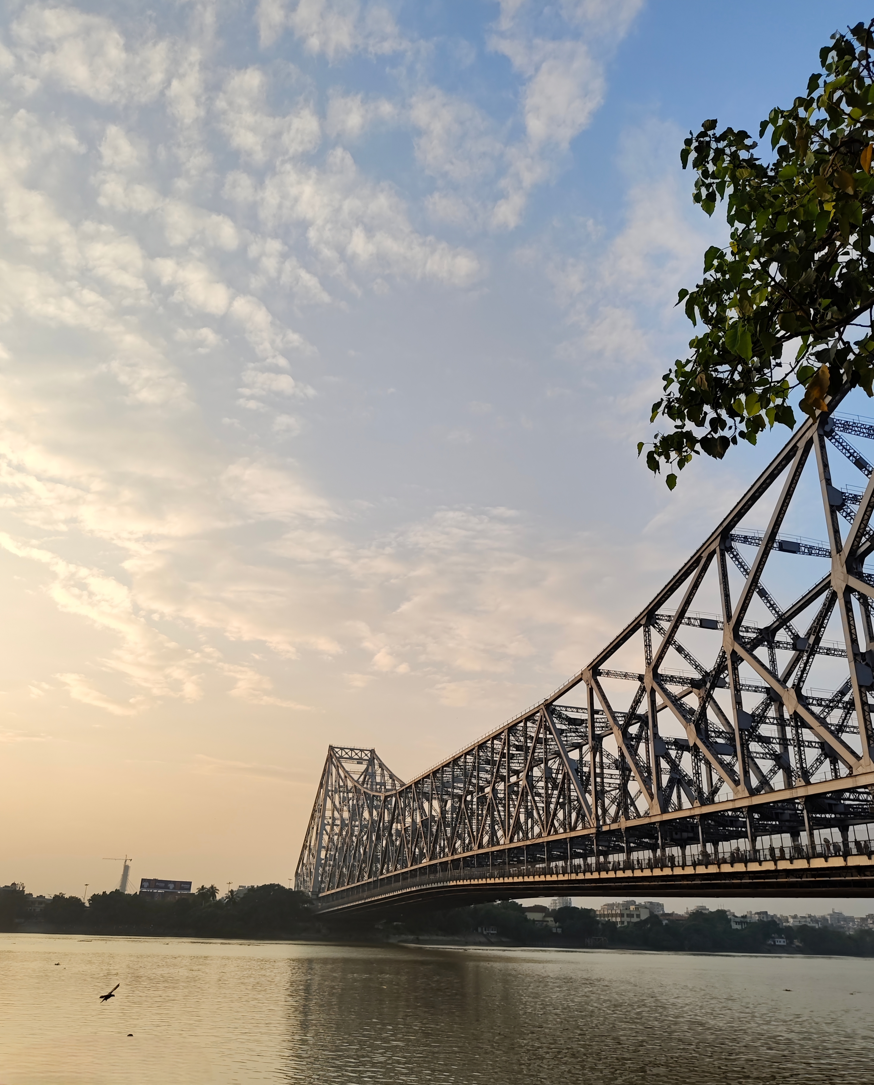 Explore Kolkata : 'Howrah Bridge' & 'Mallick Ghat Flower Market'