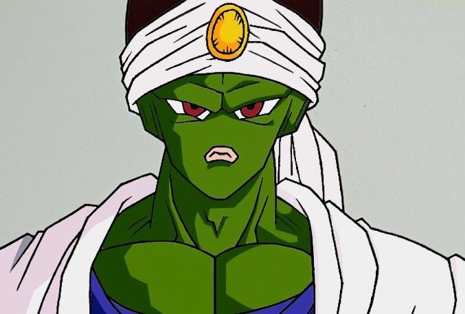 Pikkon: The Otherworld Warrior