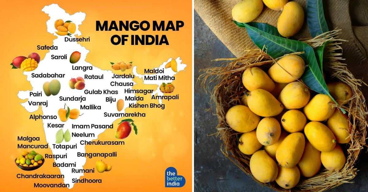 Bookmark This Mango Map! Where & When To Find the Best Mangoes,Tips to Identify