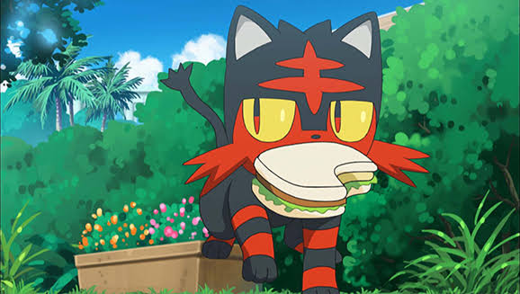 Litten:The Fire Cat Pokémon