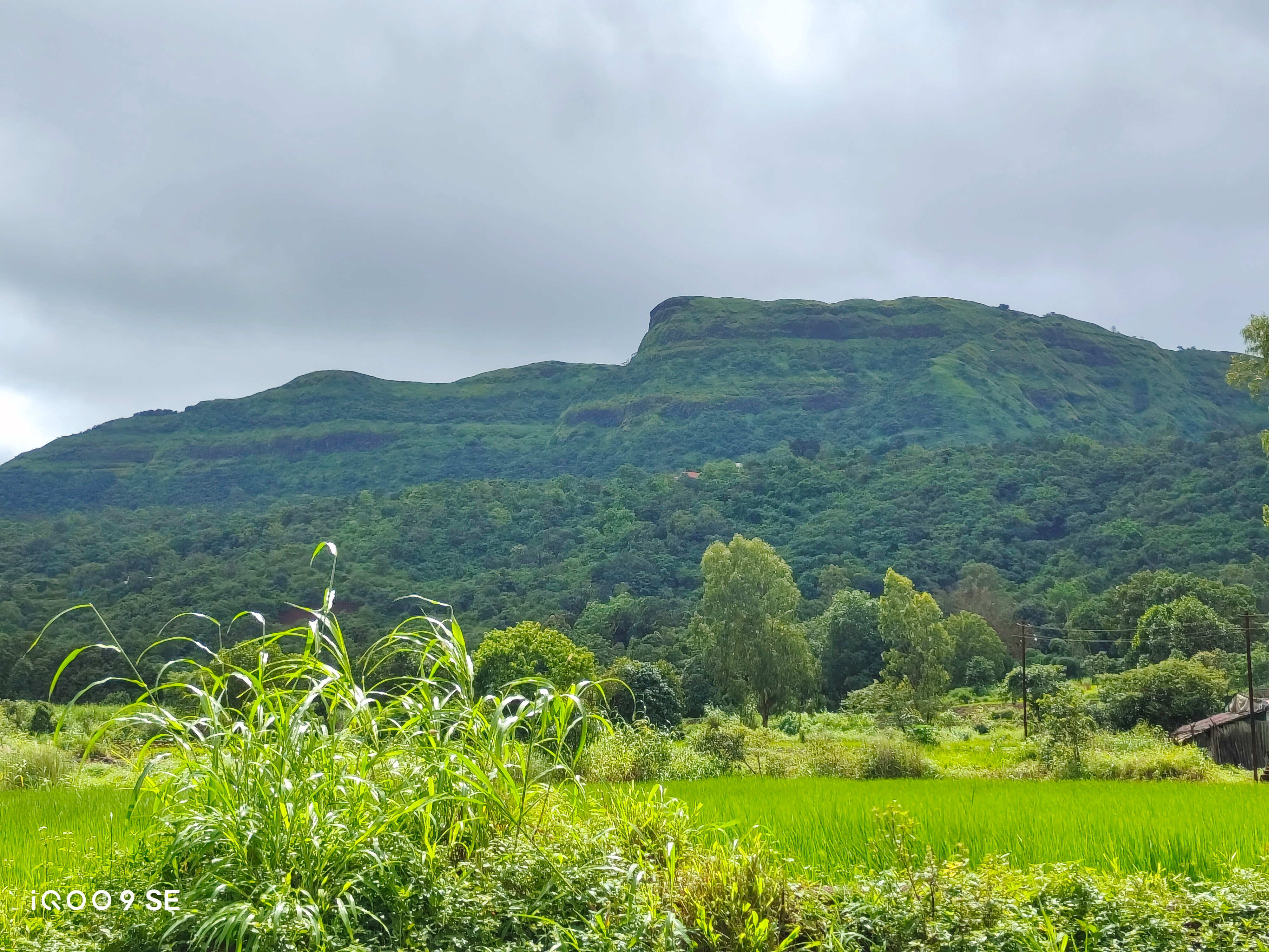 #ShotOniQOO | Monsoon Archives | 1