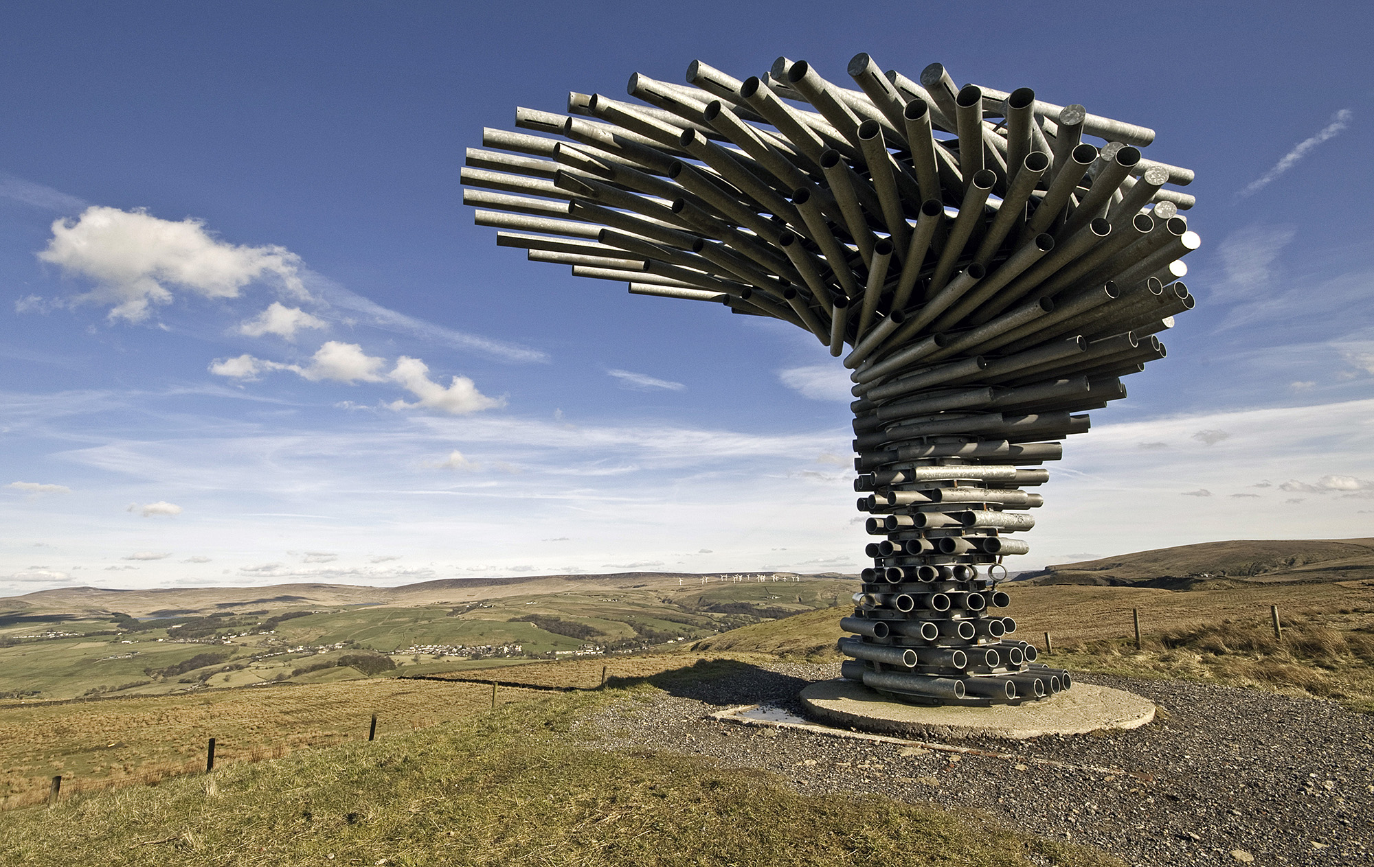 A tree which produces melodious sounds: Singing Ringing Tree