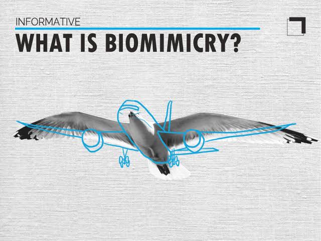Biomimicry: Innovation inspired by nation