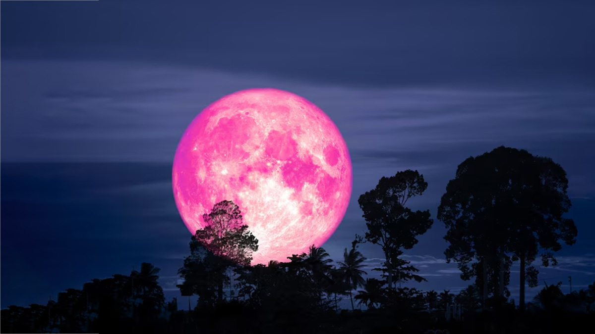 🌕 Strawberry Moon 2025: A Celestial Delight