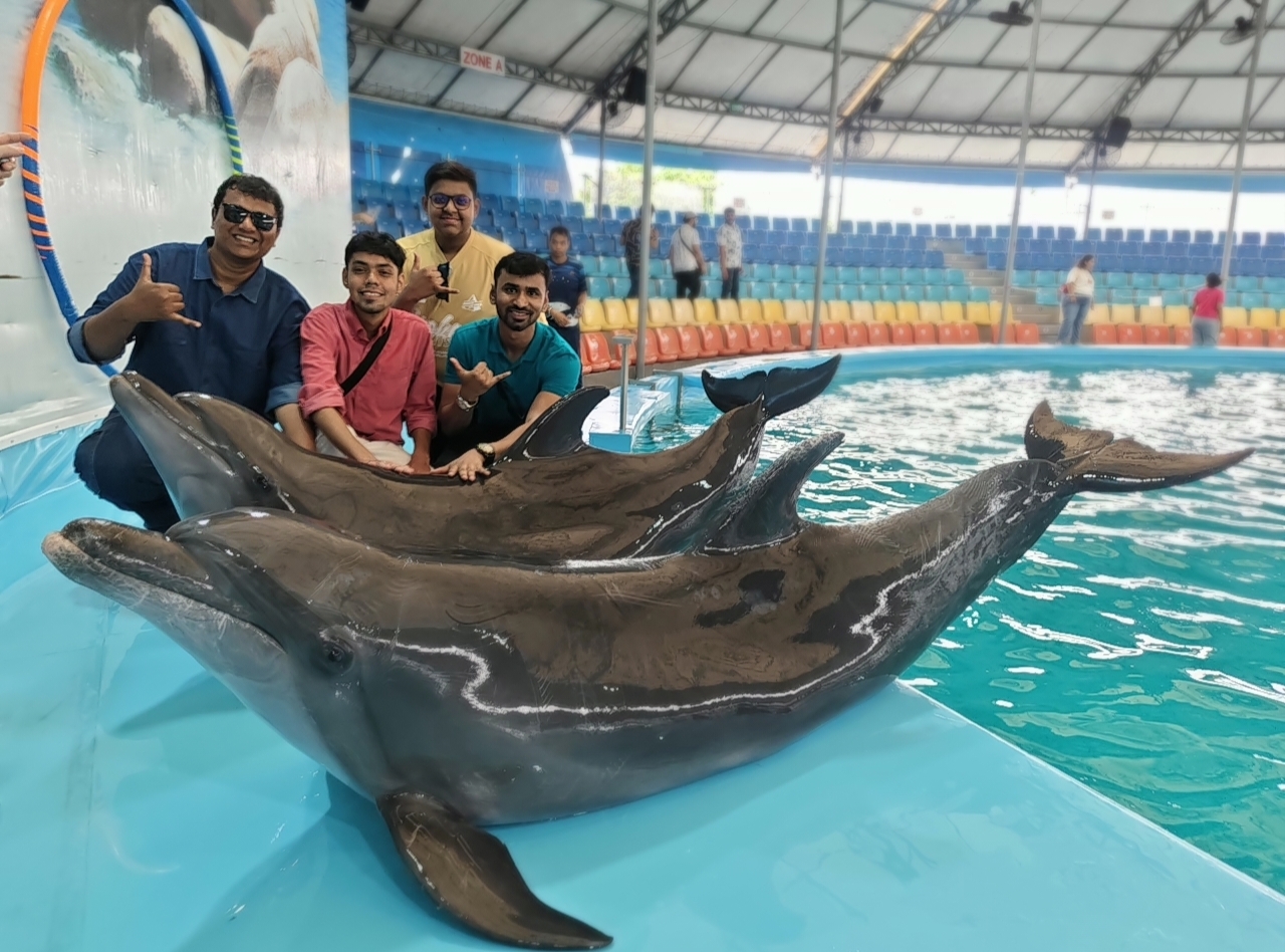 iQOO IFM 3.0 Day 2 Part 2 | Enjoying the Dolphin Show at Dolphins Bay ...