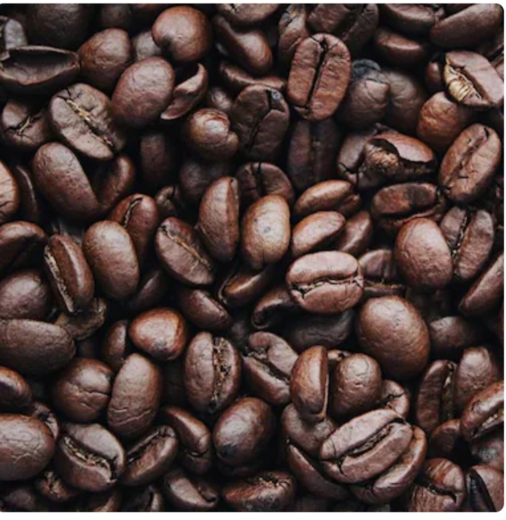 From Black Ivory To Kopi Luwak: 6 Of The Most Expensive Coffees In The ...