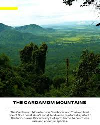 🌳 Cardamom Mountains – Cambodia’s Last Great Wilderness 🇰🇭