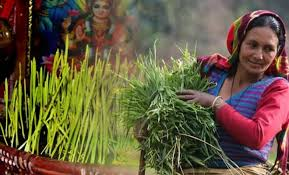 Cultural Rituals Performed Before Major Harvests 🌾🌿