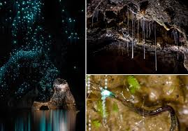 Waitomo Glowworm Caves, New Zealand — A Galaxy Underground