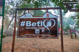 Discovering Betla National Park — Wildlife & Forest Adventures 🐅