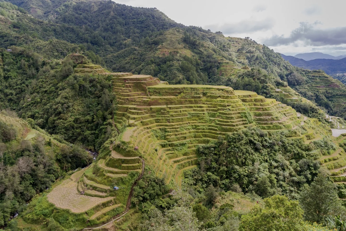 Not just 14, Indians can now enjoy 30 days of visa-free travel to the ...