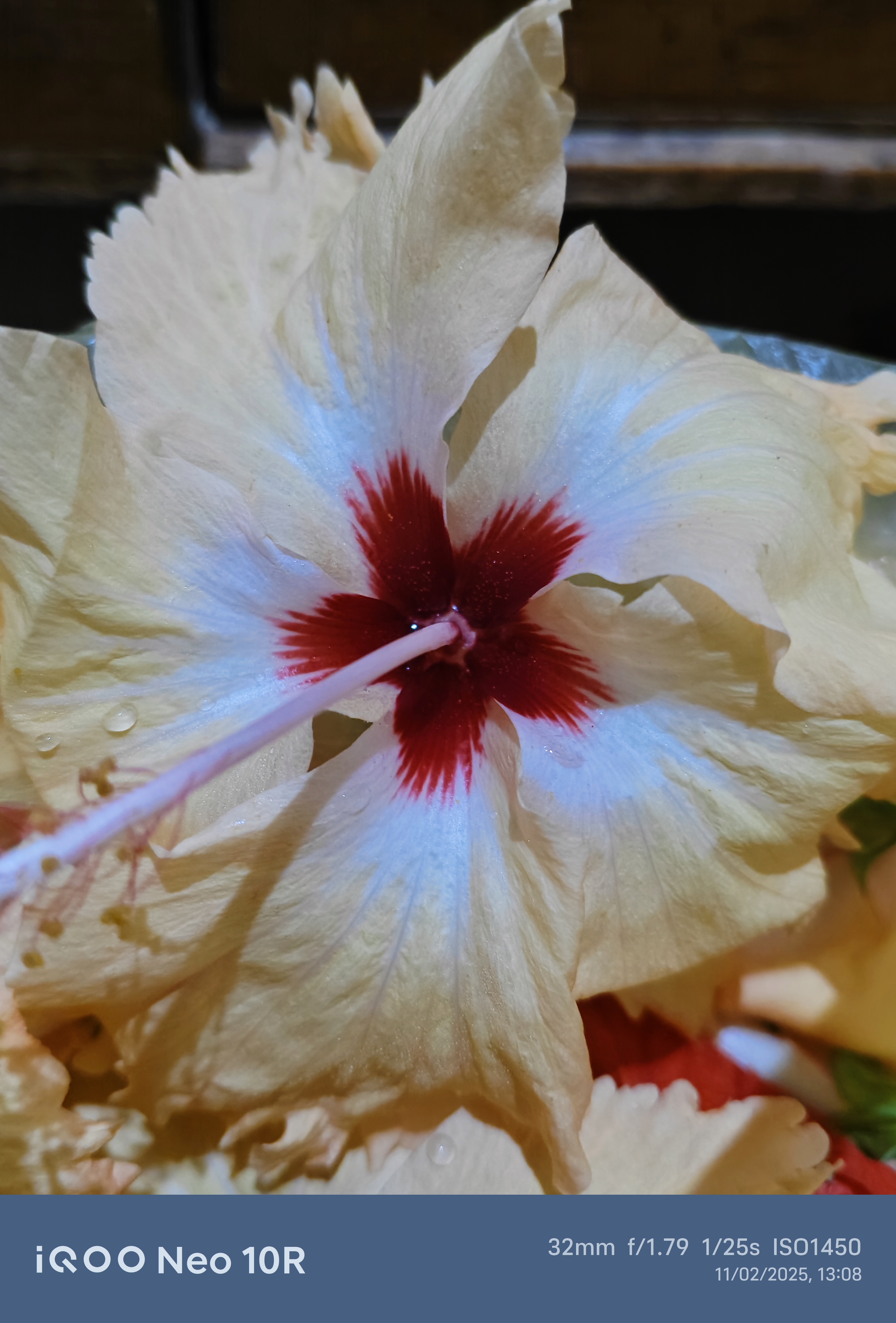 #ShotOniQOO Look at the clarity of iqoo Neo 10r camera 📸