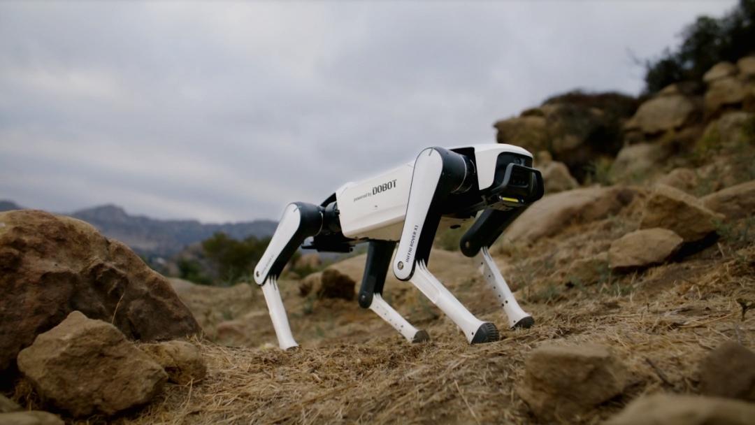 Dobot’s New $1,000 Robot Dog Might Be the Smartest Pet You Can Buy