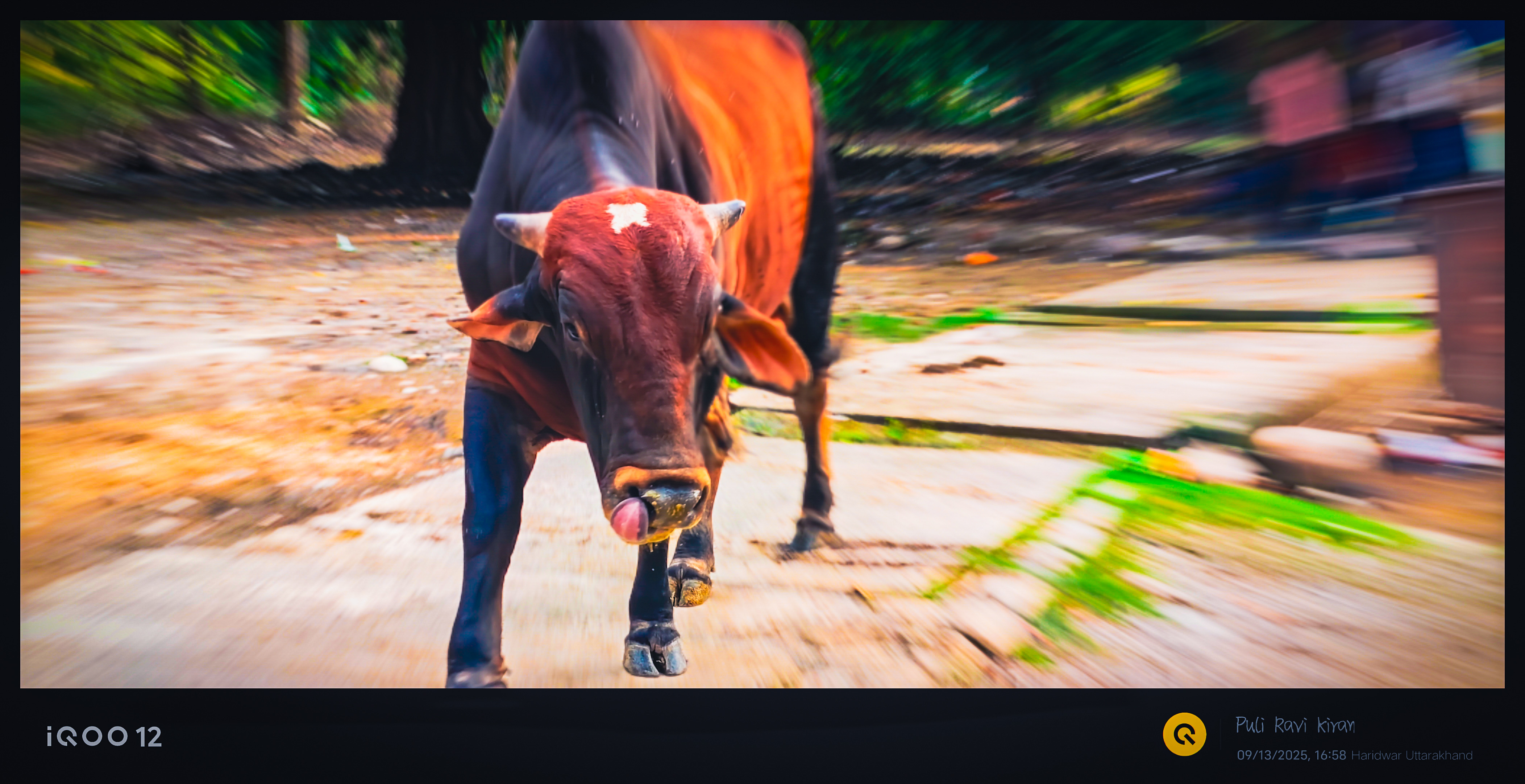 ShotOniQOO | Things in Motion