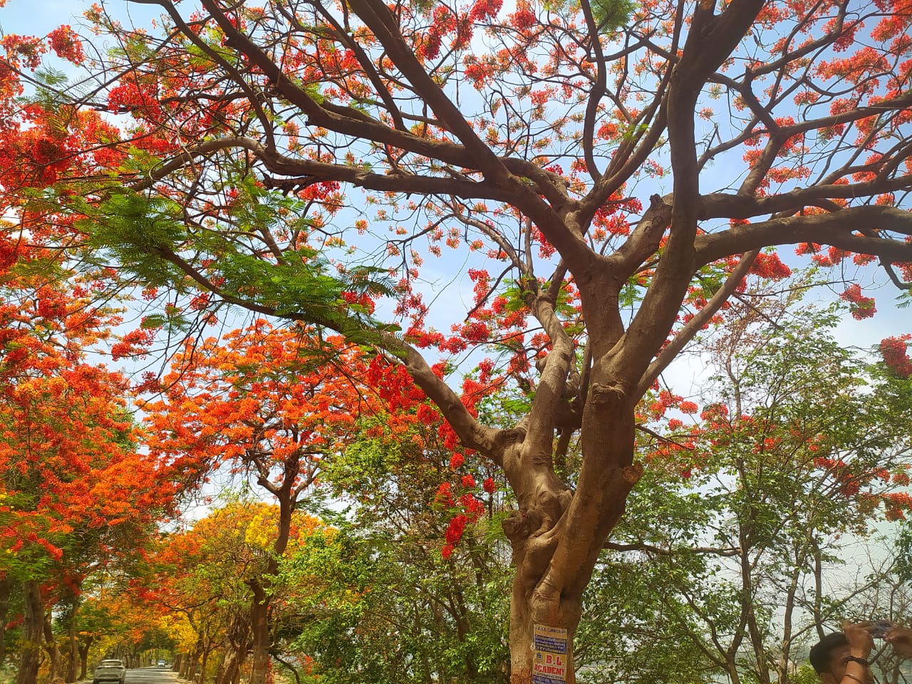 Arail ghat area view