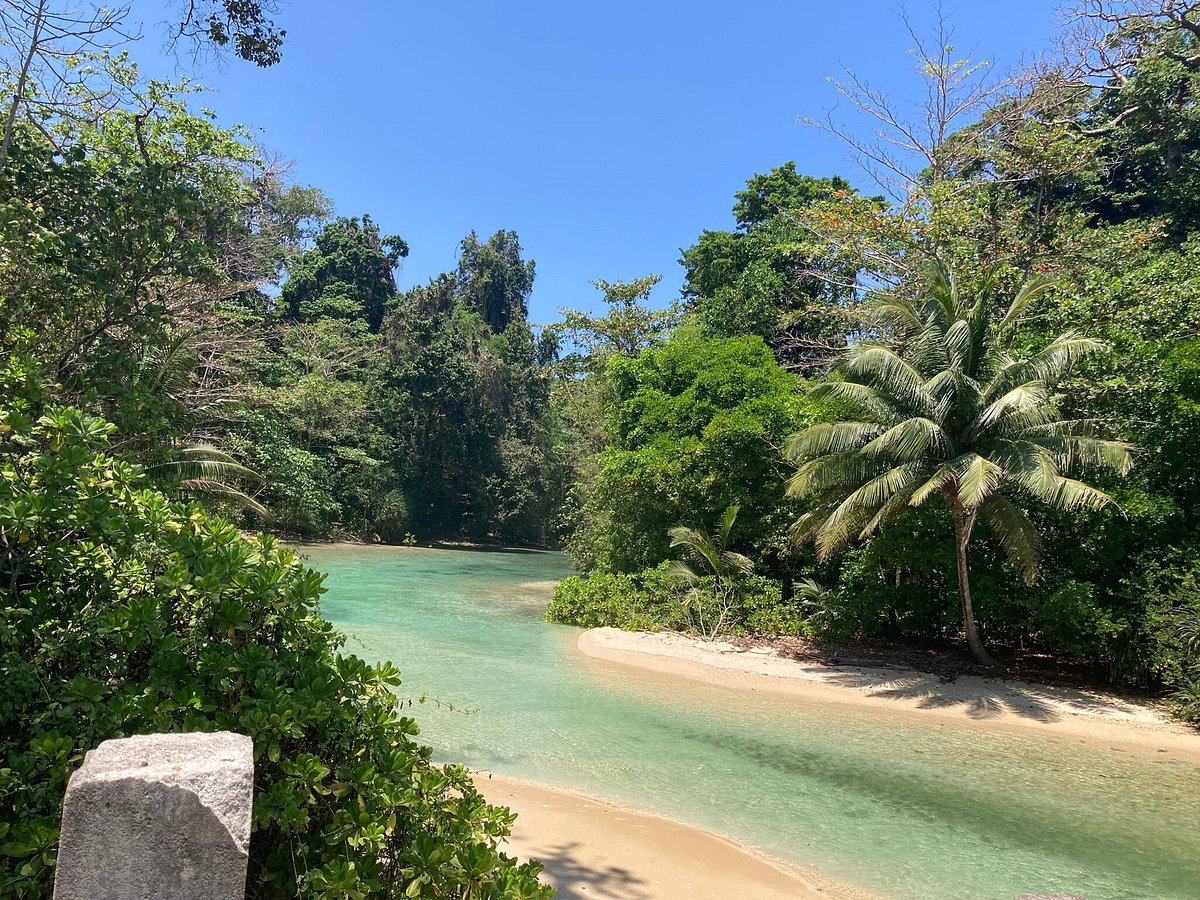 🌴 Little Andaman – The Hidden Paradise of Waterfalls, Forests & Beaches 🌊🐘
