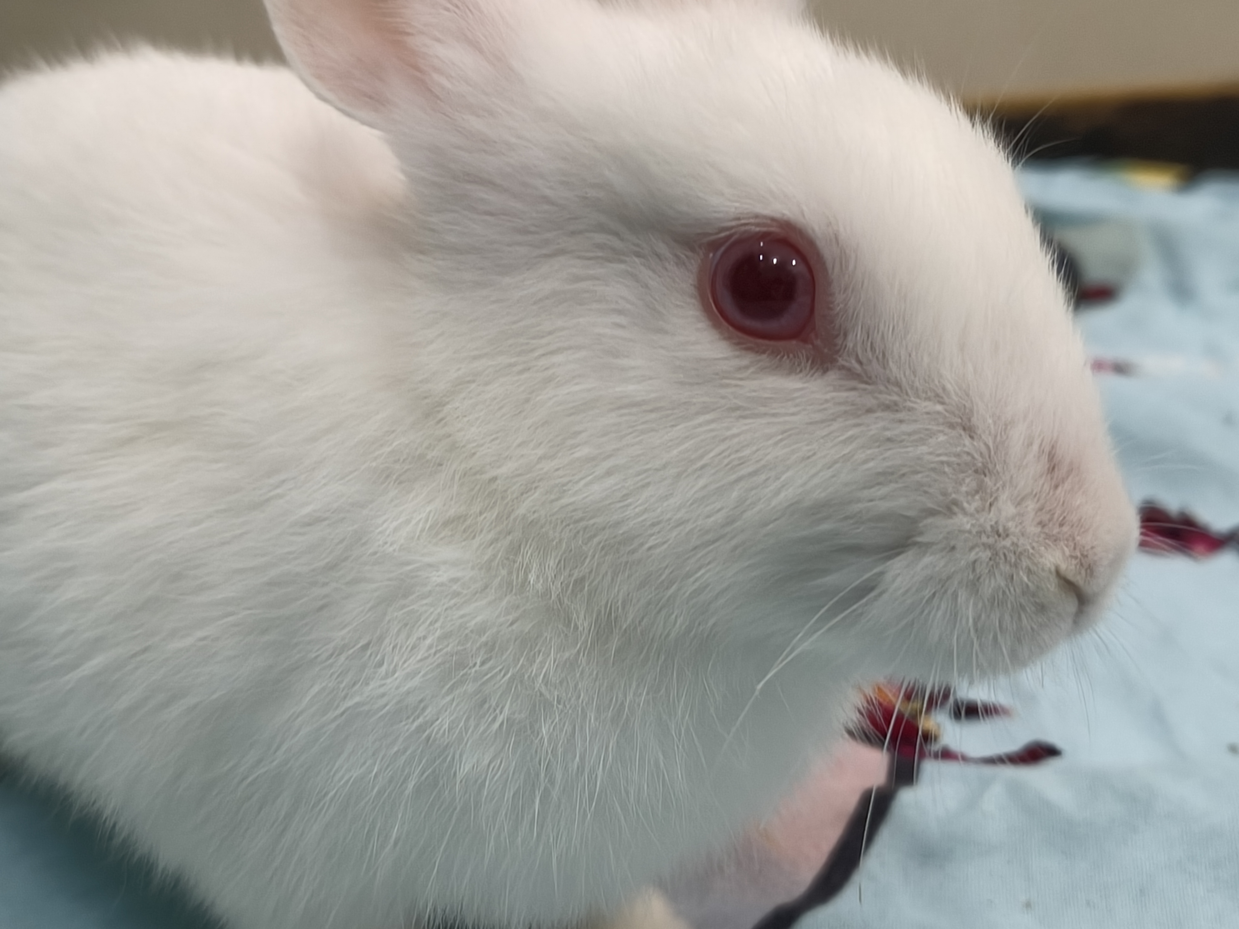 Sharing Some Cute Moments!