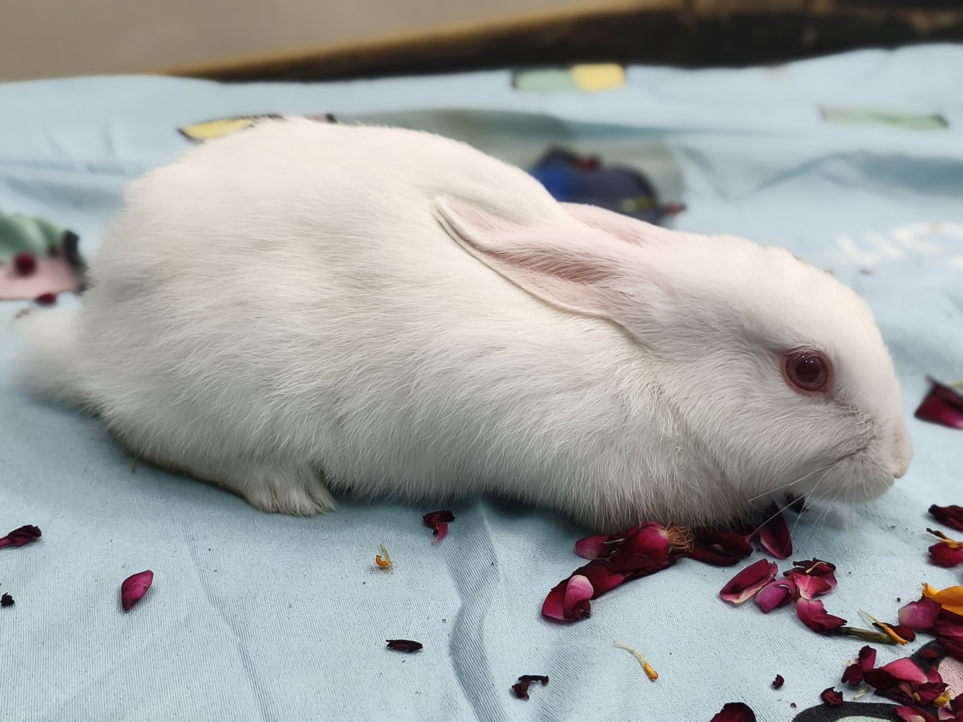 Sharing Some Cute Moments!