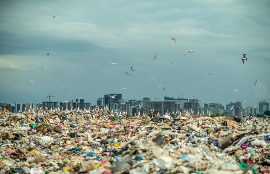 Punjab’s Bold Strike on Plastic Pollution