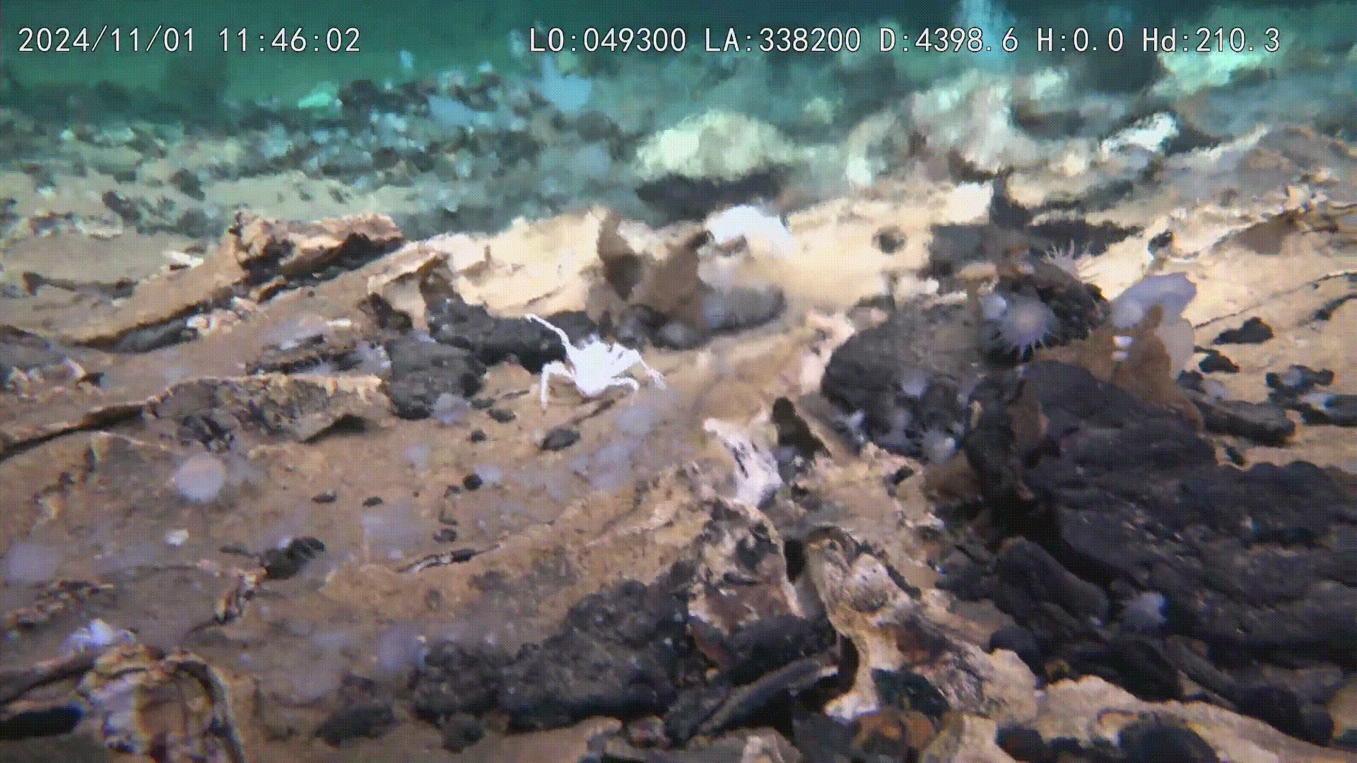 🫧🌍 The Baltic Sea’s Giant Methane Leak Shocks Scientists