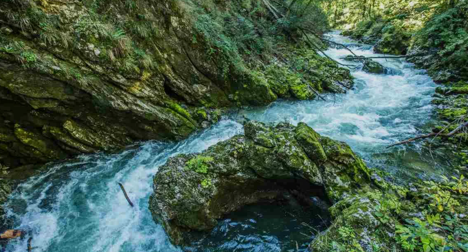 🧵 Whoa — Some Rivers Actually Flow “Backward”