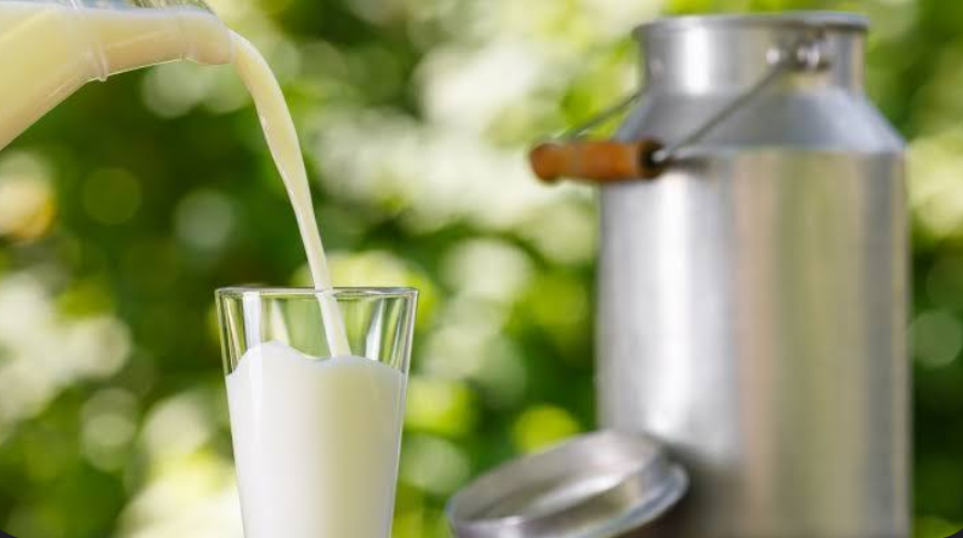 🥛 The World’s “Milk Capital”: India’s Own Anand, Gujarat
