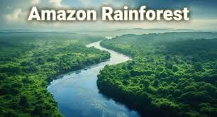 🌳 The Amazon Rainforest: Global Lifeline 💚