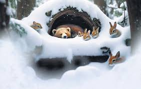 😴 Hibernation: Nature's Deep Sleep 🐻