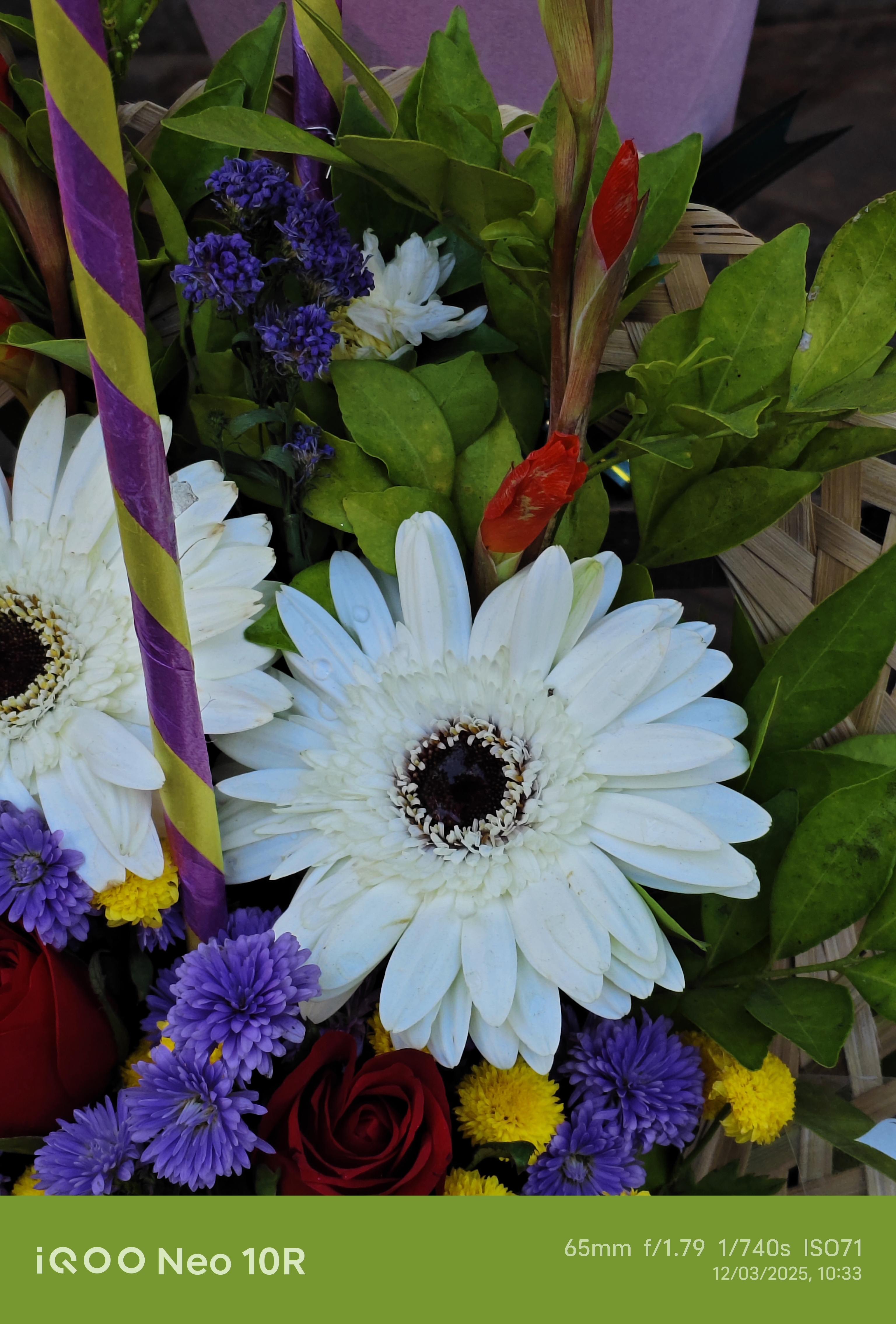 Today I click some natural flowers 💐 with iQOO Neo 10r photography ️