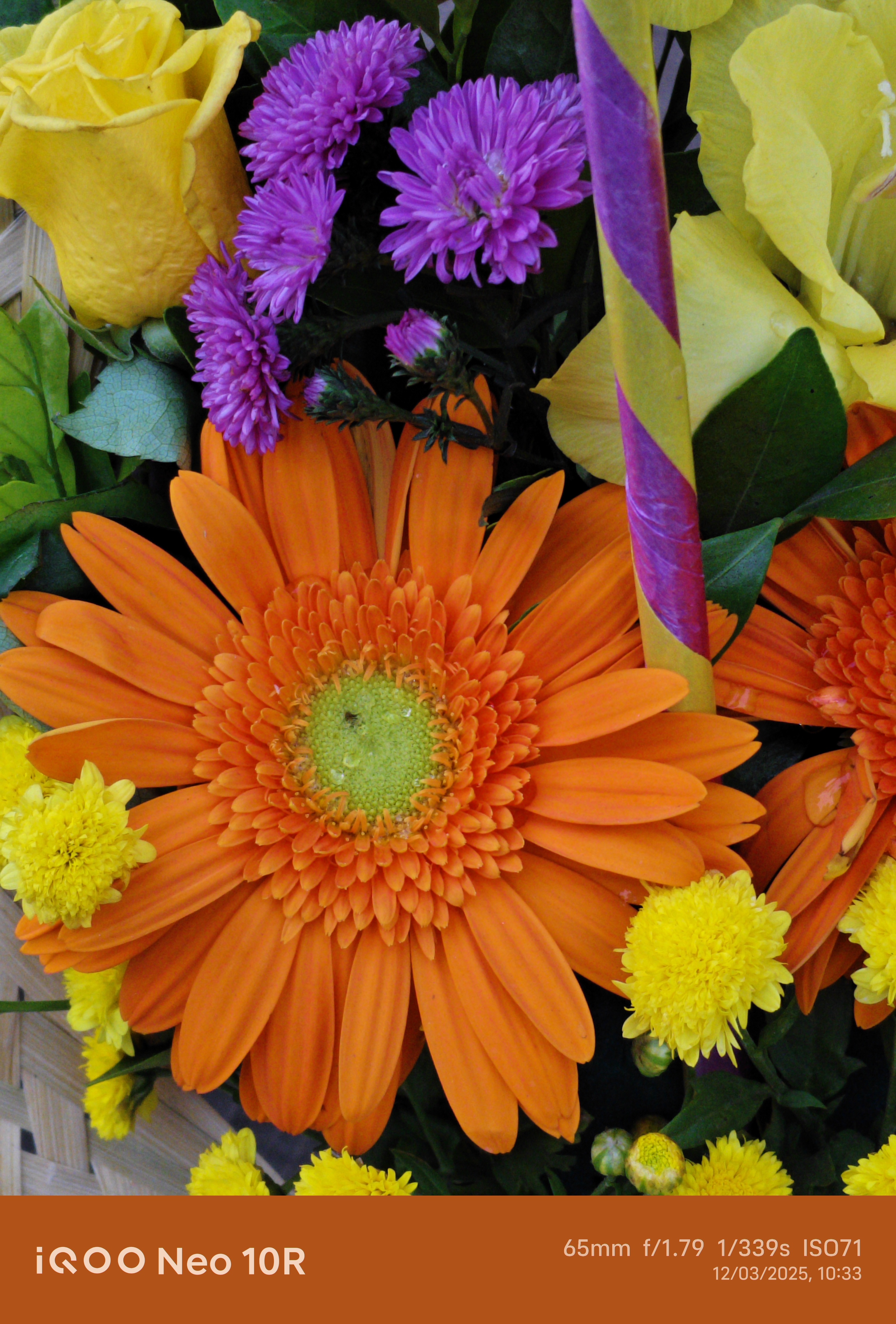 Today I click some natural flowers 💐 with iQOO Neo 10r photography ️