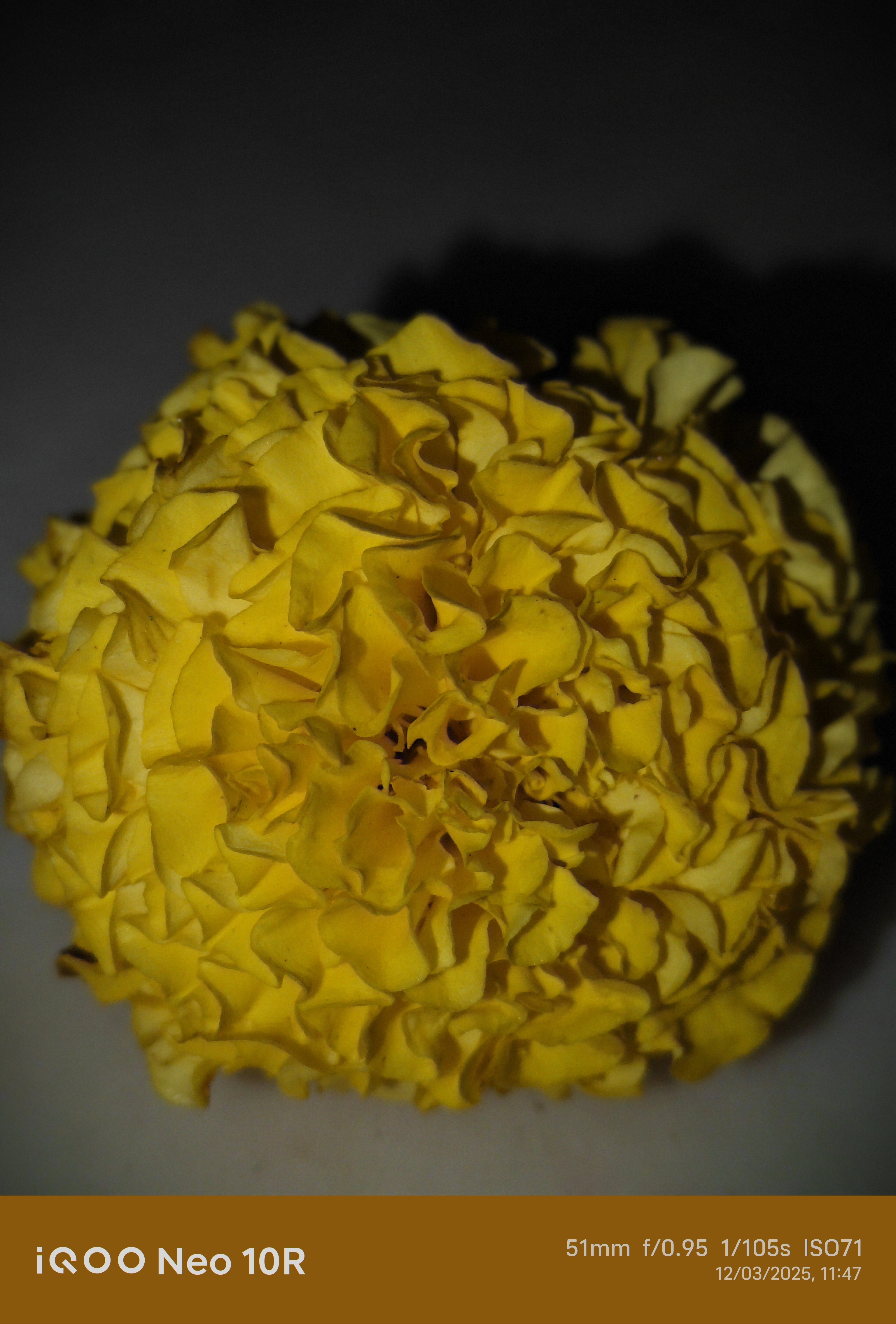 Today I click some natural flowers 💐 with iQOO Neo 10r photography ️