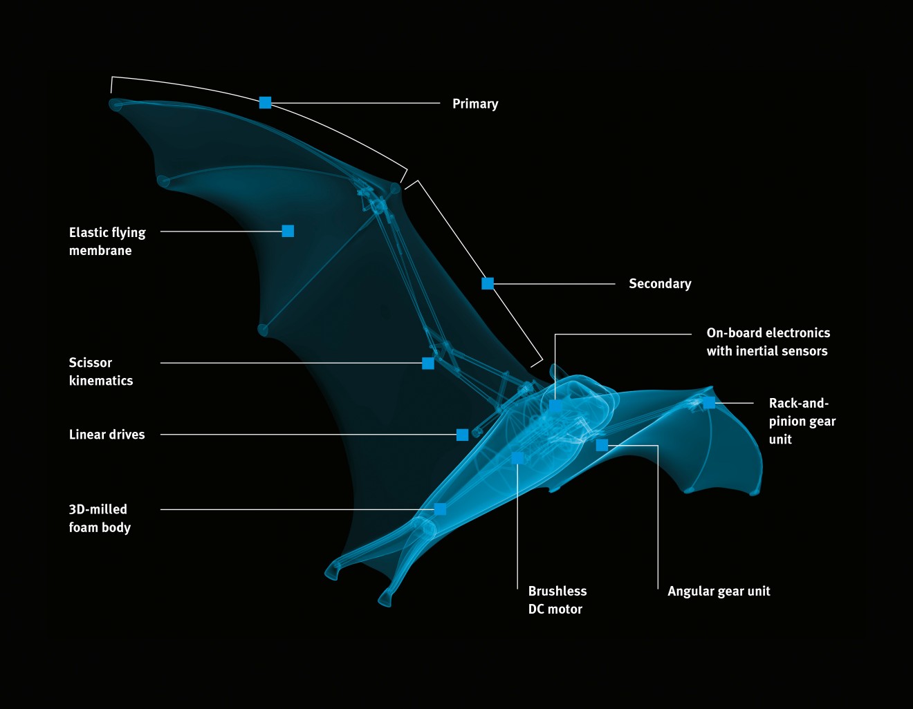 A Breakthrough in Biomimetic Robotics and AI