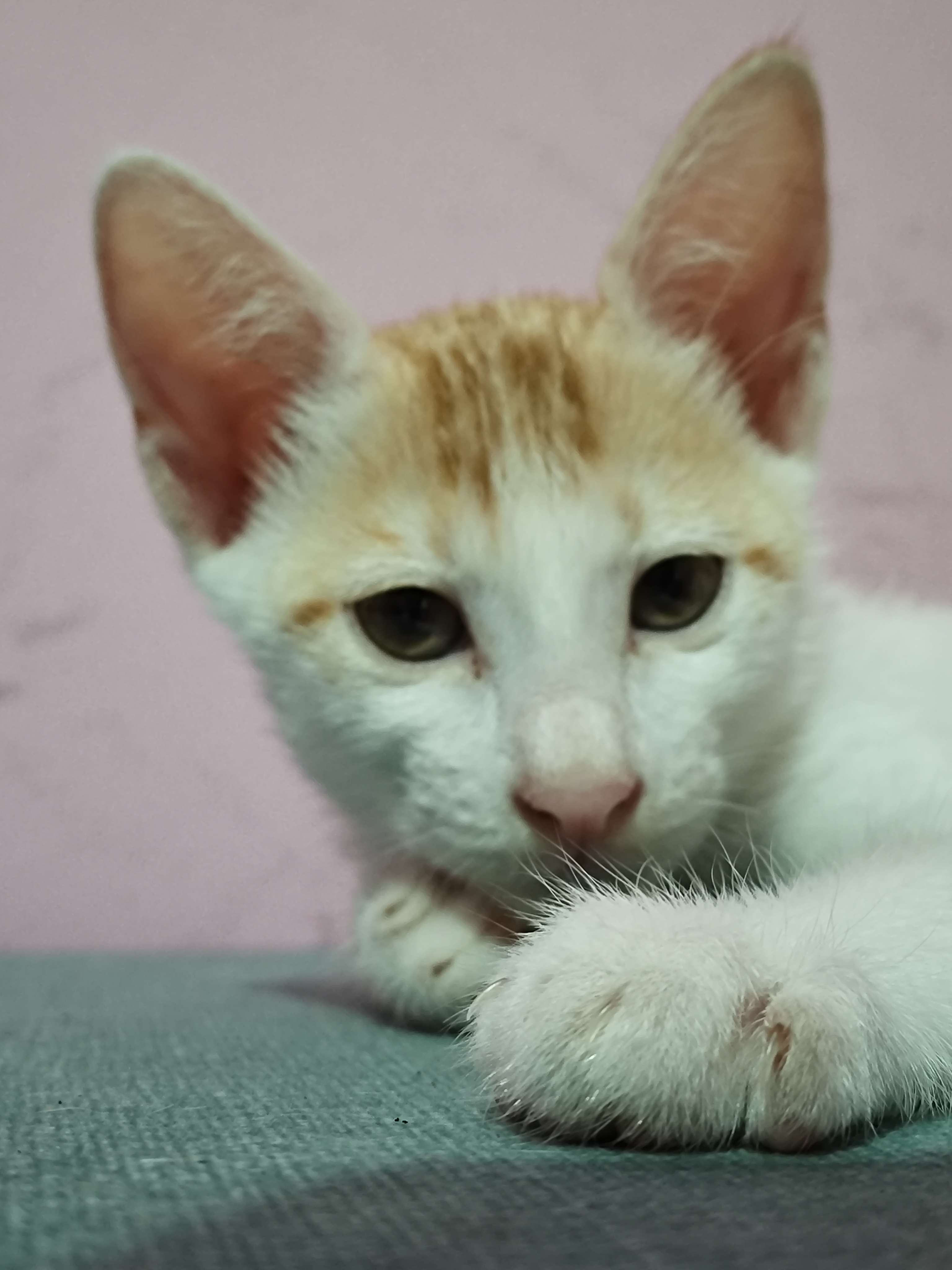 Next-Gen Clicks – Powered by iQOO part 9