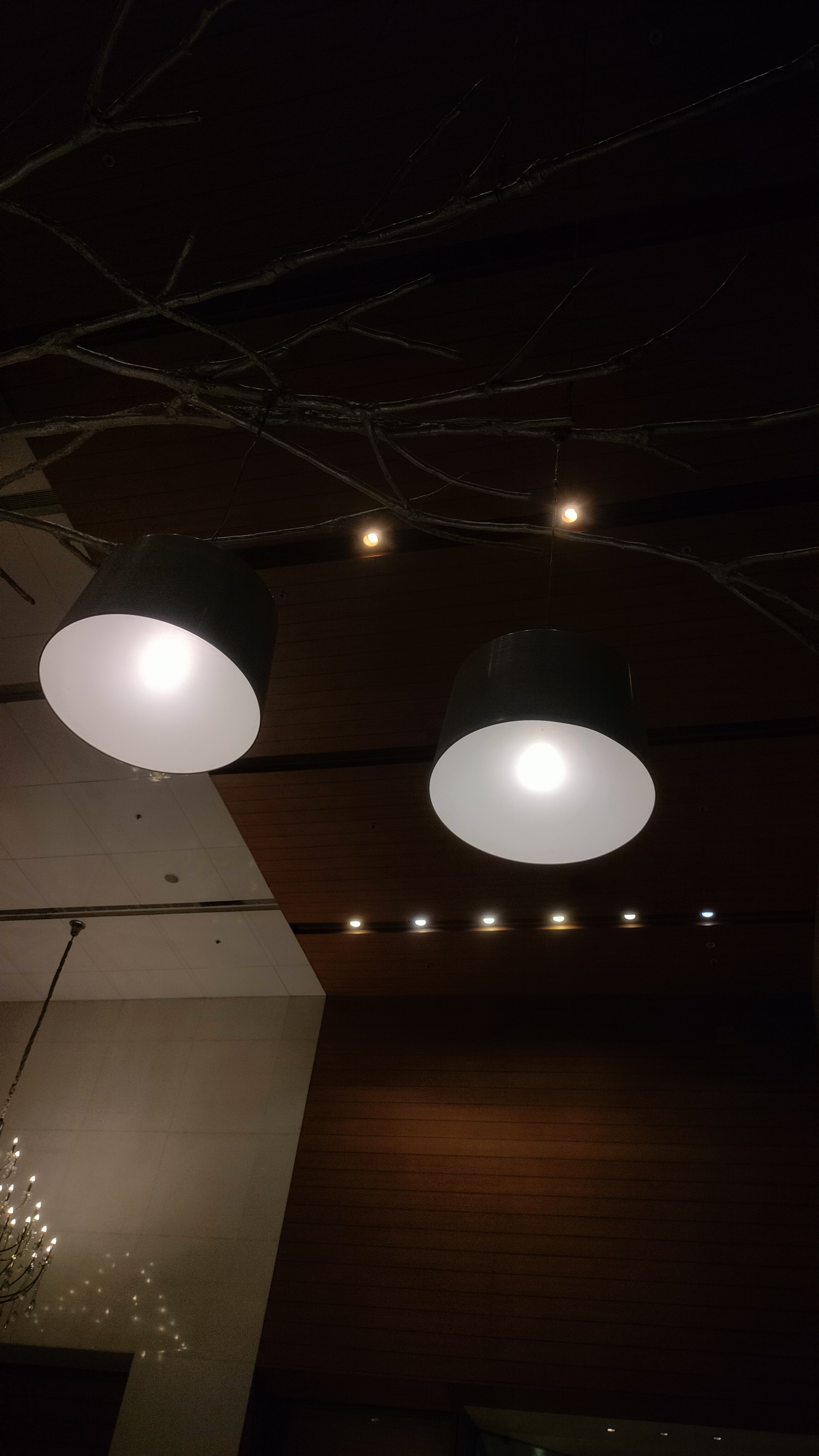 ⭐ Soft yellow glow created a cozy and elegant atmosphere.