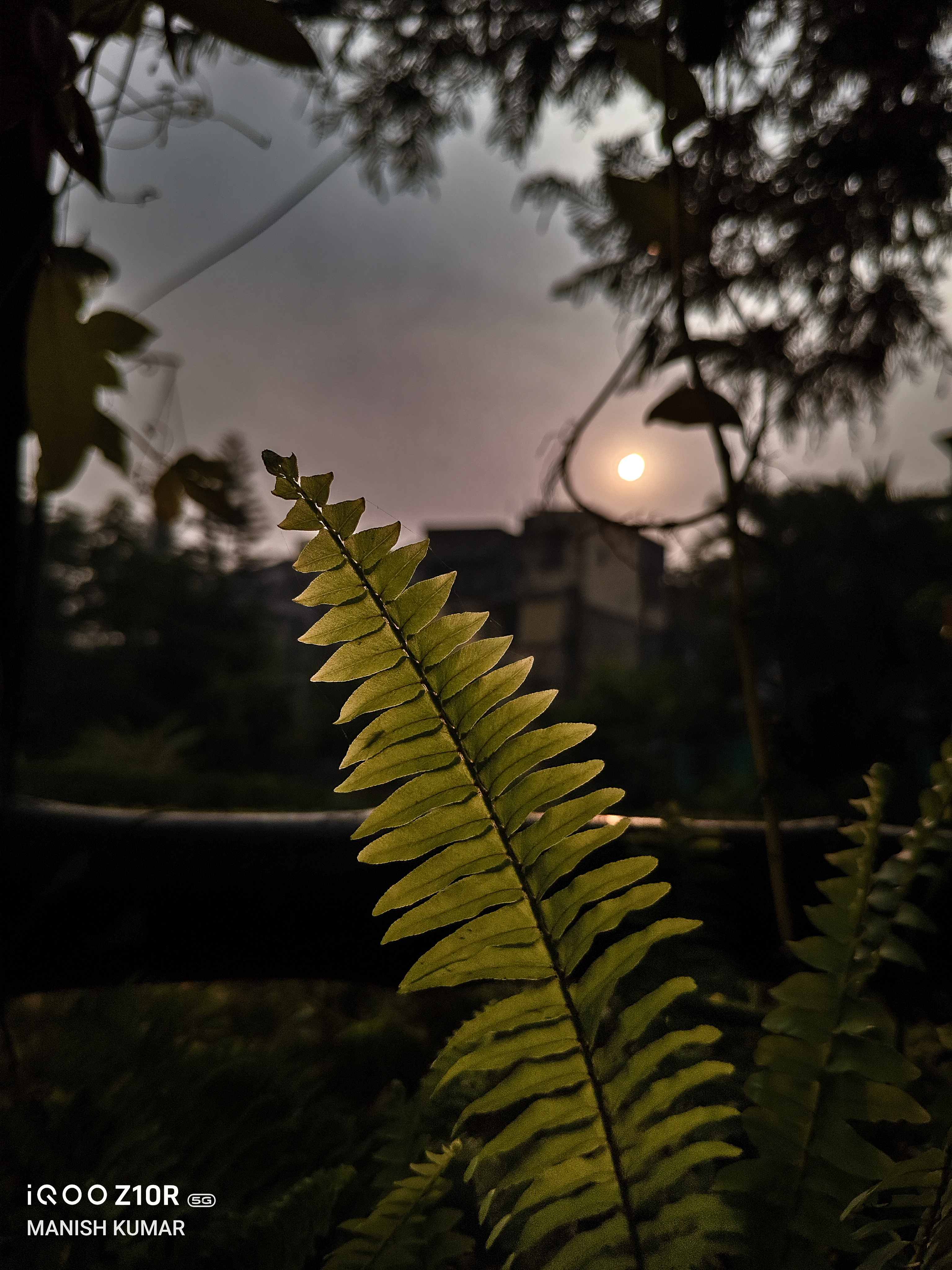 Some Random Clicks… 📸