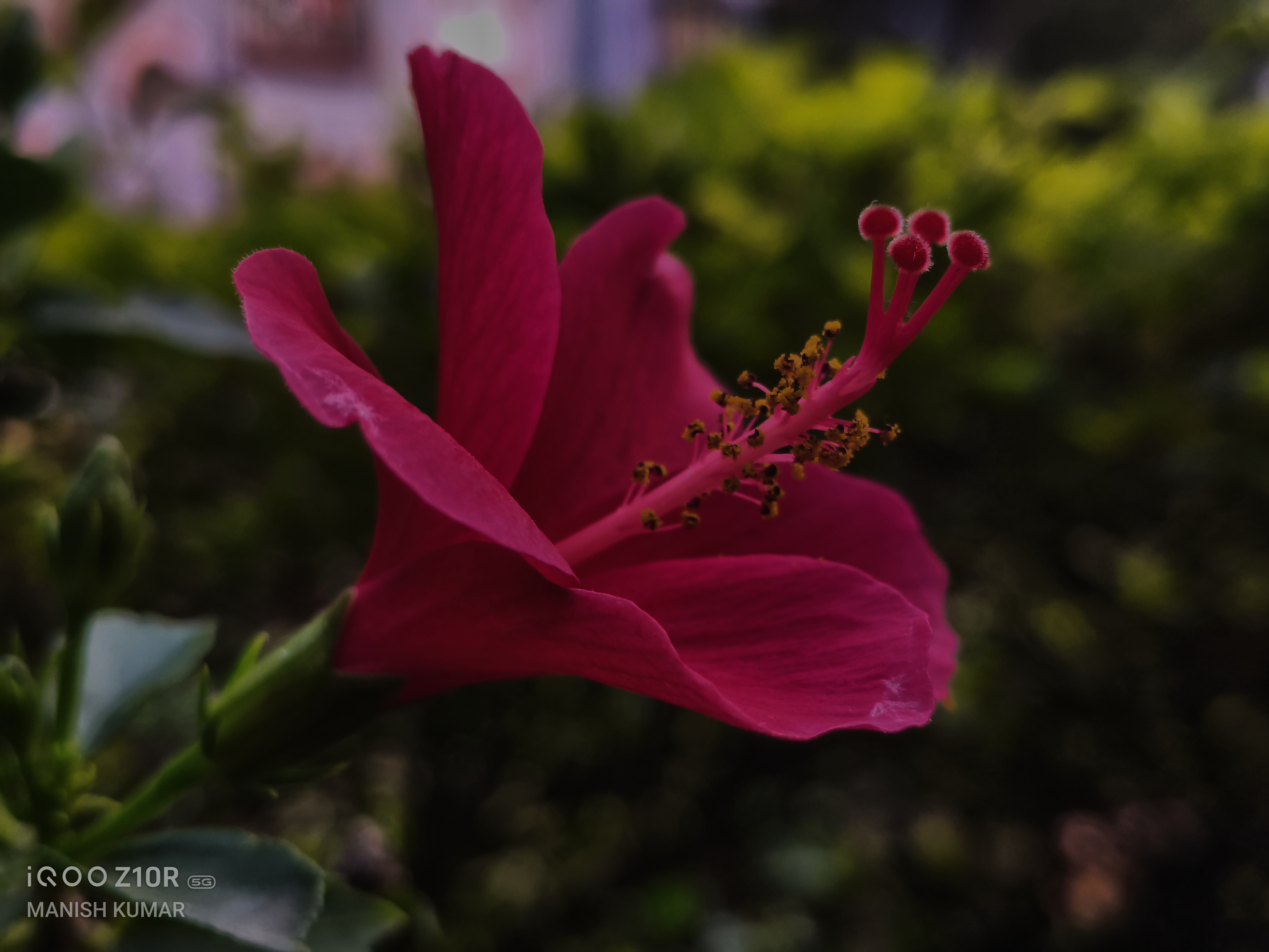 Some Random Clicks… 📸